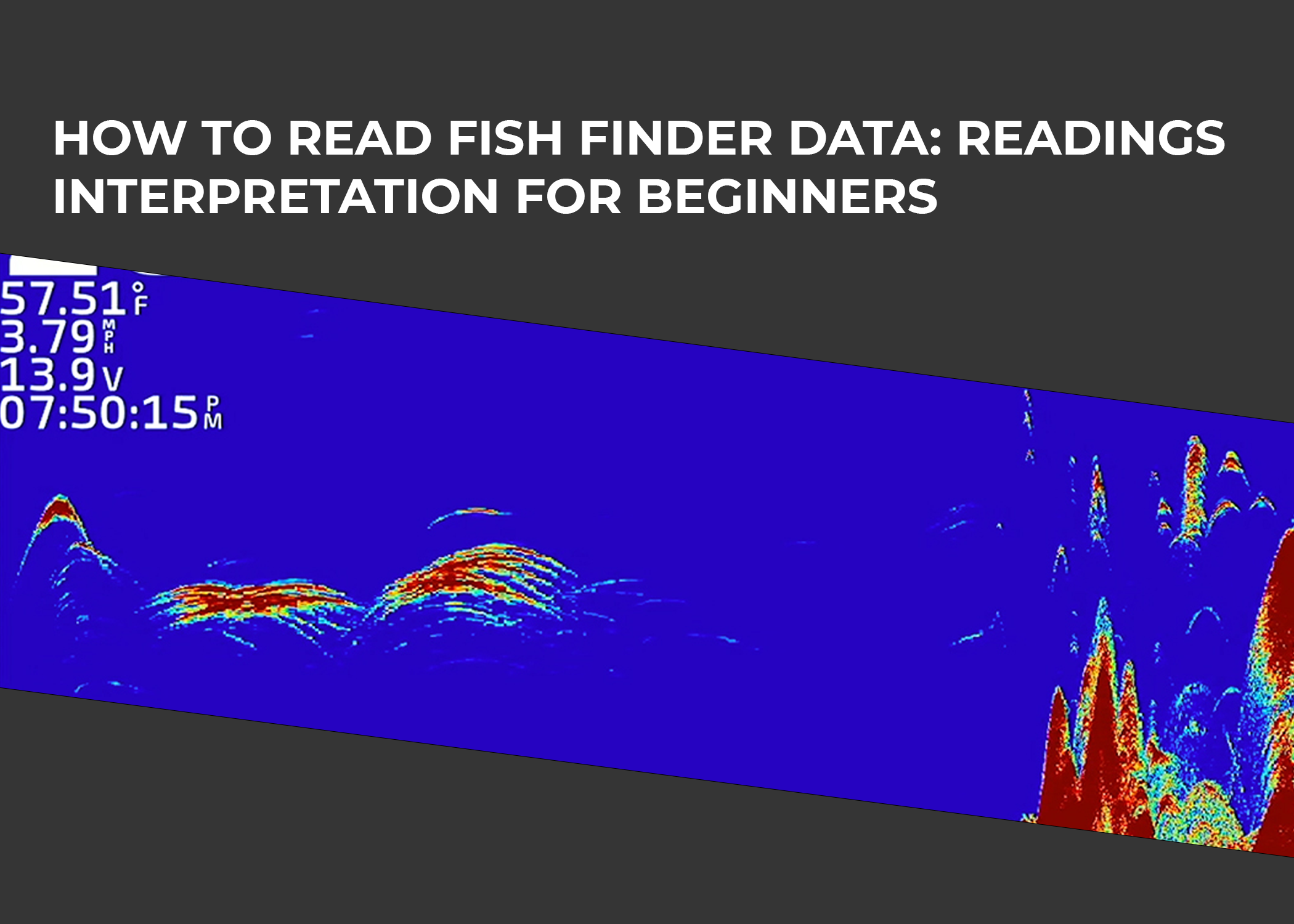 How to Read Fish Finder Data: Readings Interpretation for Beginners